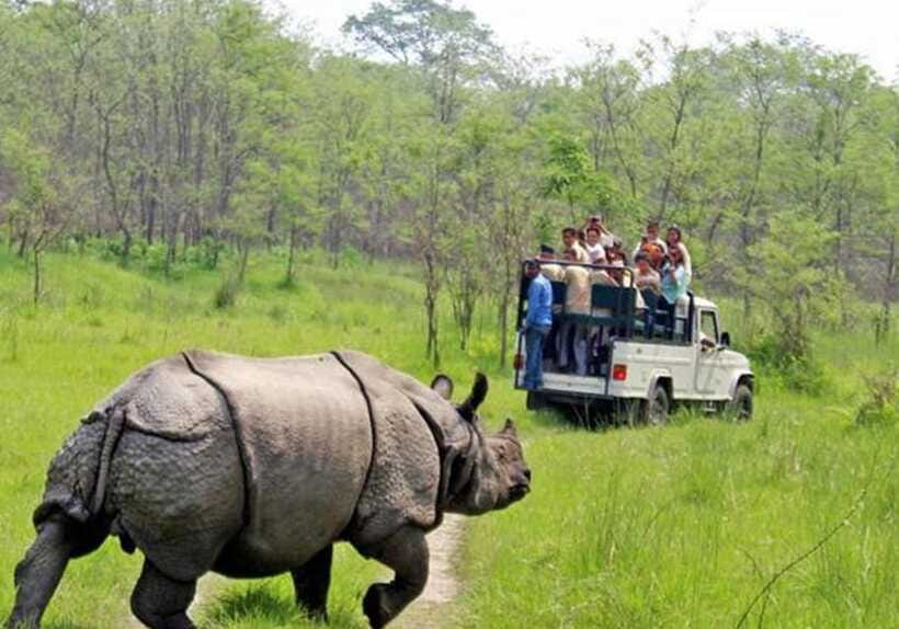 Chitwan: 1-Night Jungle Safari with Transfers from Kathmandu - Morning in the Jungle and Return to Kathmandu