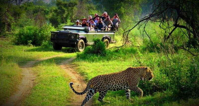 Chitwan: 1-Night Jungle Safari with Transfers from Kathmandu - What’s Included and What’s Not
