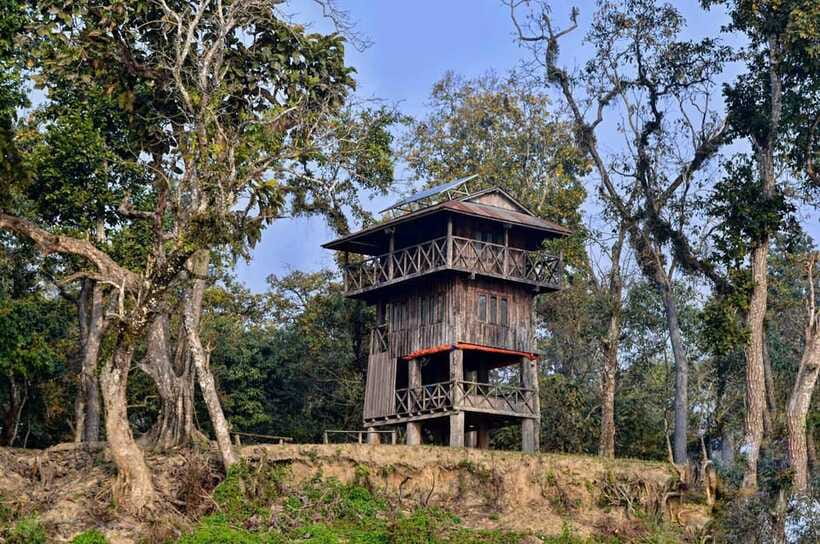 Chitwan: 1-Night Jungle Safari with Transfers from Kathmandu - Authenticity and Realistic Expectations