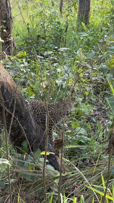 Chitwan: 2 Full day jungle walk with Canoeing all inclusive - Whats Included and Whats Not