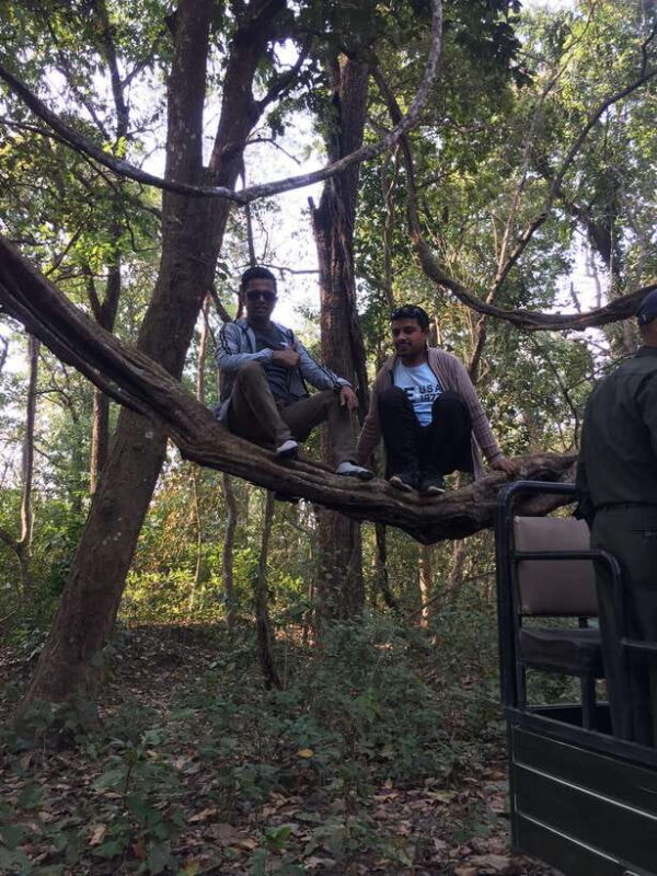 Chitwan: 3Night 4Day Chitwan National Park Jungle Activities - Who Will Love This Tour?