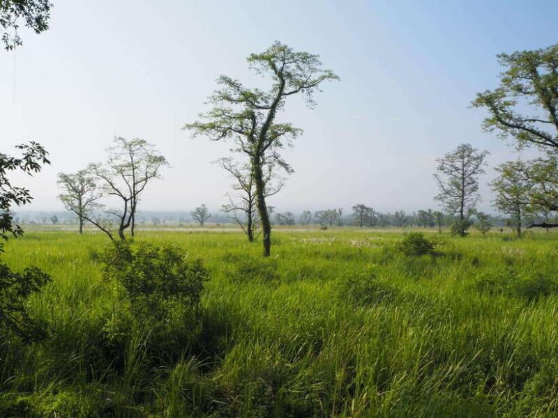 Chitwan: Canoeing, Jungle Walk, and Multi-Day Trek - What’s Included and What’s Not