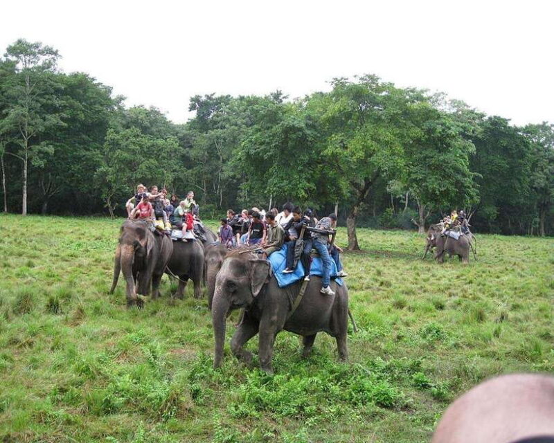 Chitwan: Jeep Safari and Canoeing Adventure with Guide - Detailed Breakdown of the Itinerary