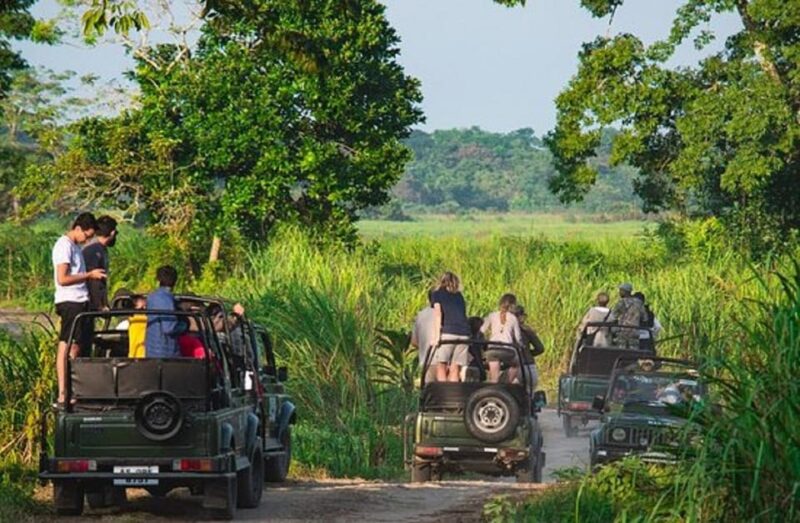 Chitwan Jungle safari 2 Nights 3 Days from Kathmandu - Key Points