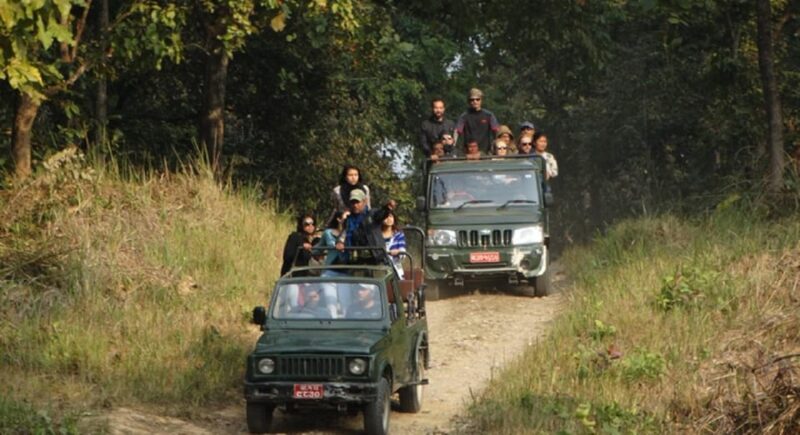Chitwan Jungle safari 2 Nights 3 Days from Kathmandu - The Bottom Line: Who Is This Safari For?