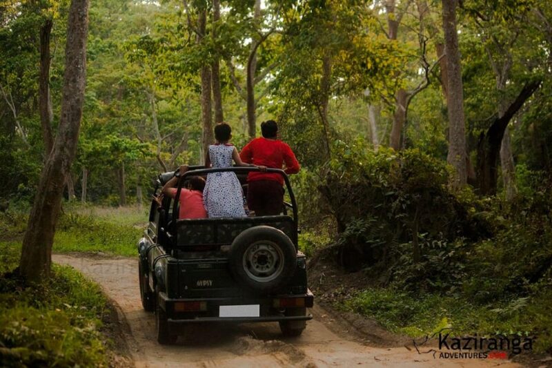 Chitwan Jungle safari 2 Nights 3 Days from Kathmandu - FAQ