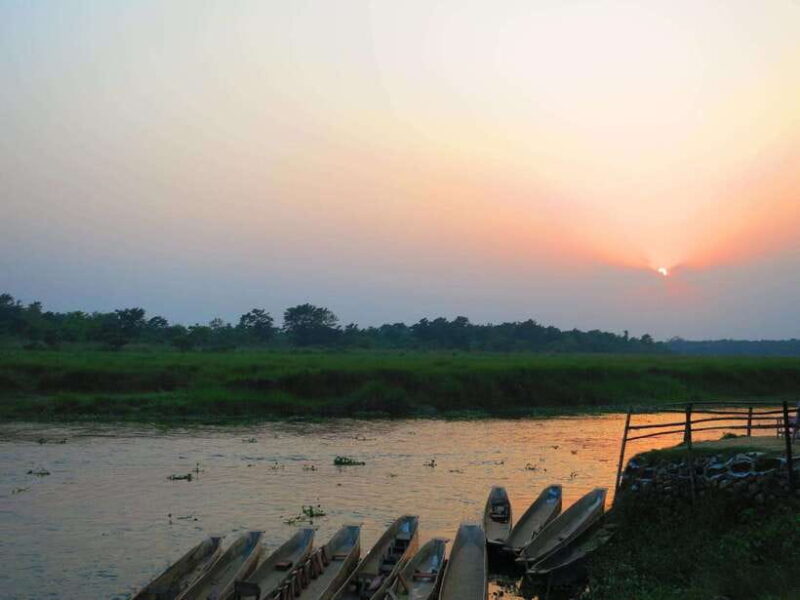 Chitwan Jungle Safari - 2 nights / 3 days - Who Should Consider This Experience?