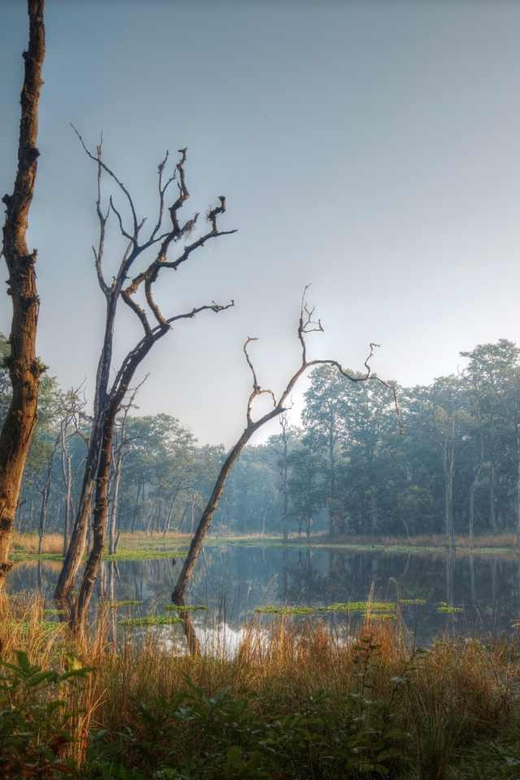 Chitwan Jungle Safari: 3-Day Wildlife Expedition - Exploring the Itinerary