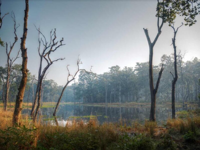 Chitwan Jungle Safari: 3-Day Wildlife Expedition - Final Thoughts