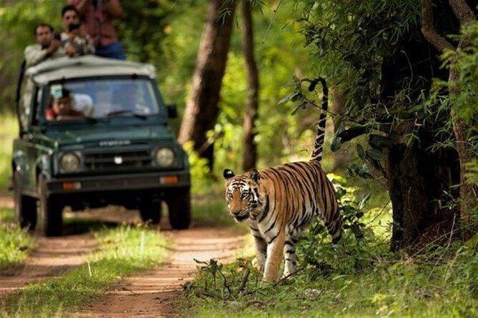 Chitwan Jungle Safari All-Inclusive Package from Kathmandu - Final Words