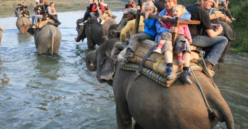 Chitwan Jungle Safari Tour: 3-Day Chitwan National Park Tour - Practical Considerations