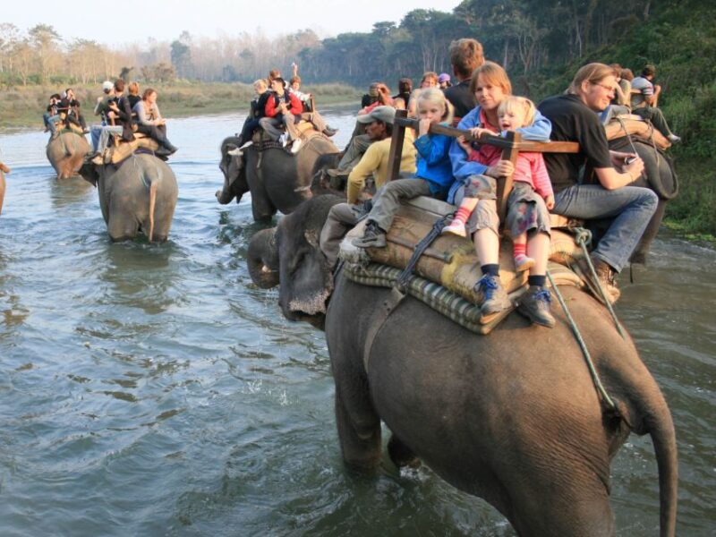 Chitwan Jungle Safari Tour: 3-Day Chitwan National Park Tour - Final Thoughts: Who Is This Tour Best For?