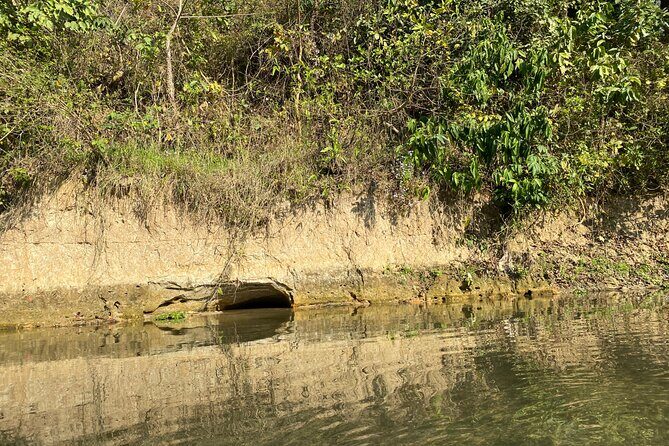 Chitwan Jungle Safari with Overnight Stay - What Do Travelers Say?