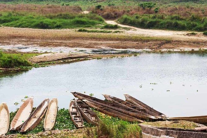 Chitwan National Park Jungle Safari Tours 3 days - A Practical Journey into Nepal’s Wildlife