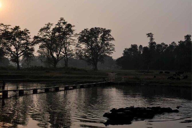 Chitwan National Park Jungle Safari Tours 3 days - The Sum Up