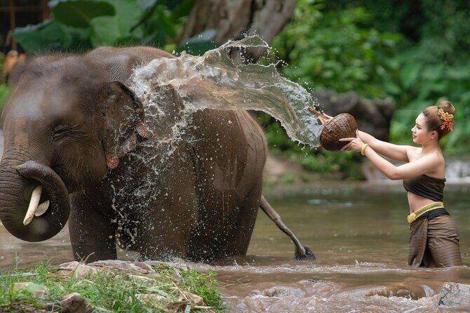 Chitwan National Park Tour - Key Points