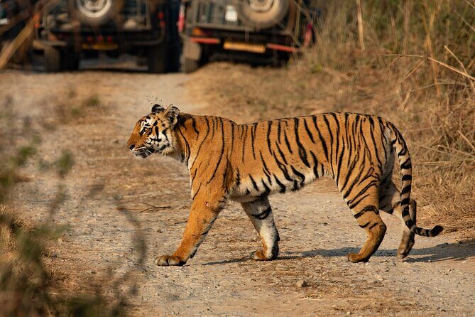 Chitwan National Park Tour - The Sum Up