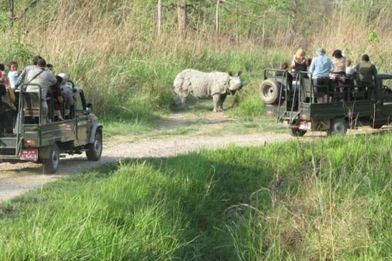 Chitwan National Park Tour - Deep Dive into the Itinerary