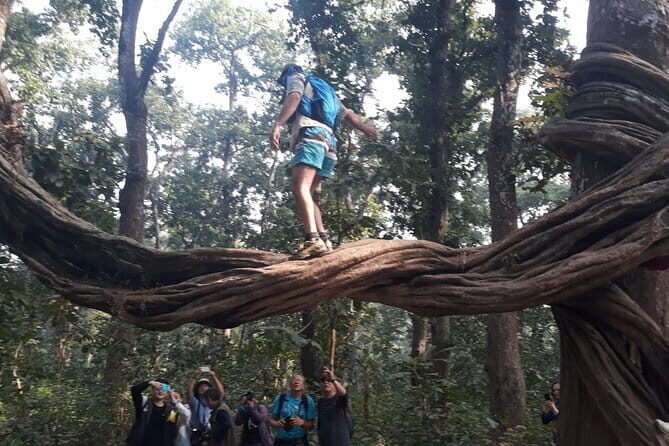 Chitwan to Pokhara Luxury Bus Ticket Reservation - Who Should Consider This Service?