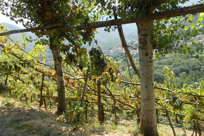 Chiunzi Pass loop by bicycle - FAQ