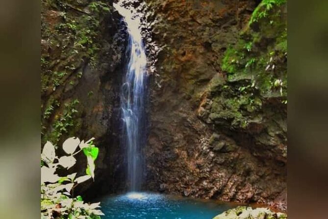 Chocolate and Coffee Tour Farm Don Jorge - Hands-On Chocolate and Coffee Experiences