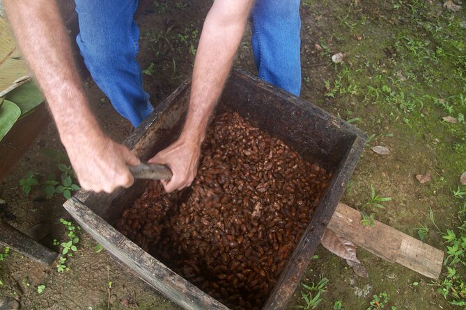 Chocolate and Farm Tour With Local Tico Family - Highlights of the Experience