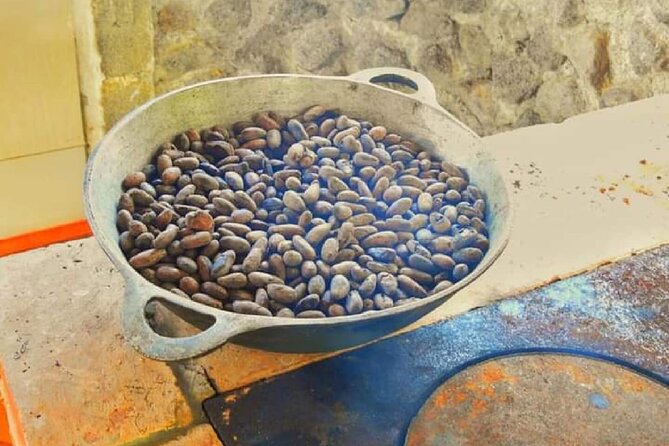 Chocolate and Farm Tour With Local Tico Family - Feedback From Previous Travelers