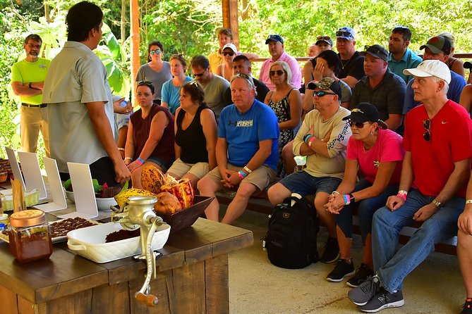 Chocolate Experience in Jaco Beach and Los Suenos - Guided Rainforest and Cocoa Plantation Walk