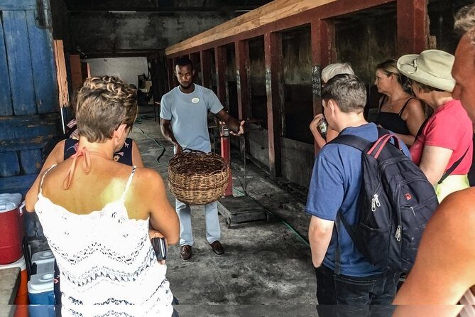 Chocolate Factory Belmont Estate, Annandale Falls & Grand Etang Lake Tour - Exploring the Itinerary in Detail