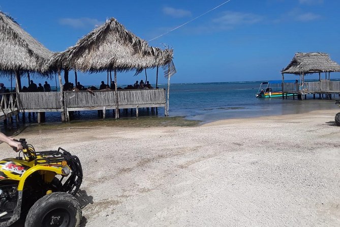 Chocolate Factory,Wildlife Encounter,Sightseeing,Beach in Roatan - Guided Tour Features