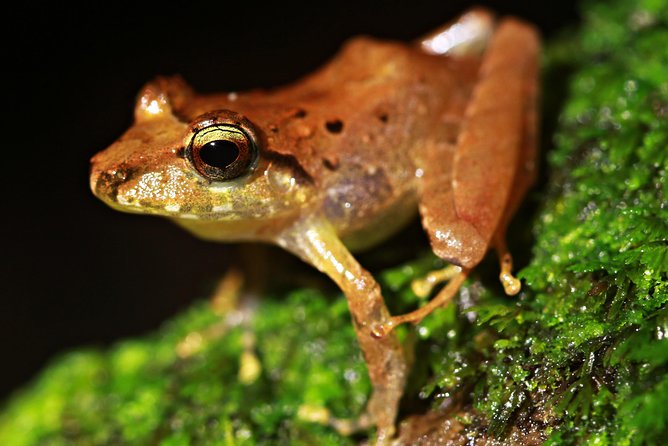 Chocolate Tour and Night Tour - Meeting Information