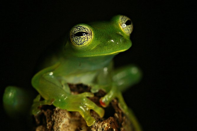 Chocolate Tour and Night Tour - Chocolate-Making Process