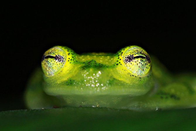 Chocolate Tour and Night Tour - Recommended Attire and Preparation