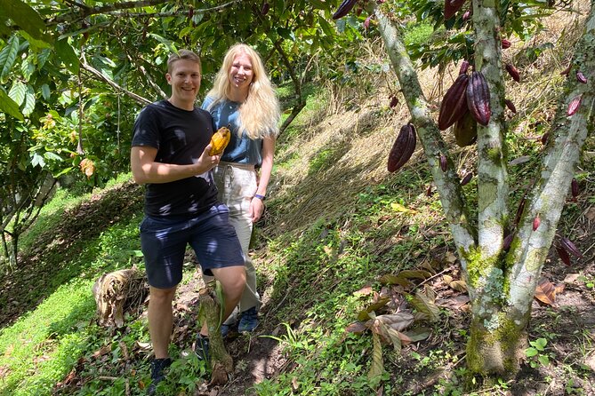 Chocolate Tour Near Medellin - Health and Accessibility