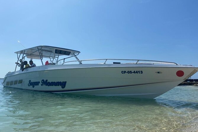Cholón Island With Music Lunch and Drinks - Considerations and Recommendations