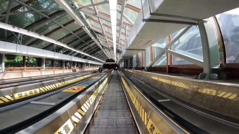 Chongqing: Mountain City Day Tour - Why You’ll Love This Experience