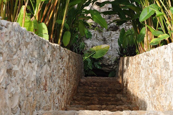 Choose your experience to live in Los 7 Cenotes San Gerónimo - Discovering Los 7 Cenotes San Gerónimo: An In-Depth Review