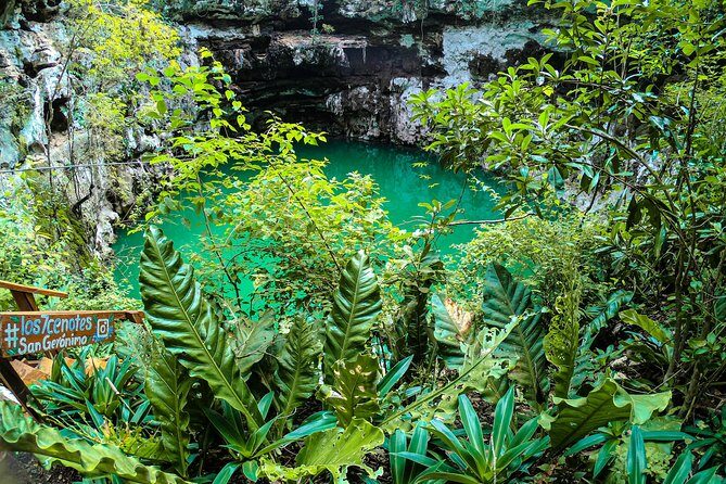 Choose your experience to live in Los 7 Cenotes San Gerónimo - Who Is This Tour Best For?