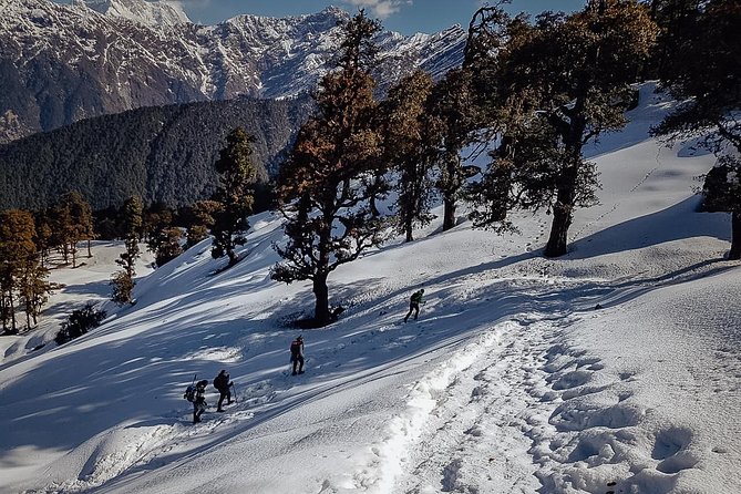 Chopta Trek - Practical Details and Expectations