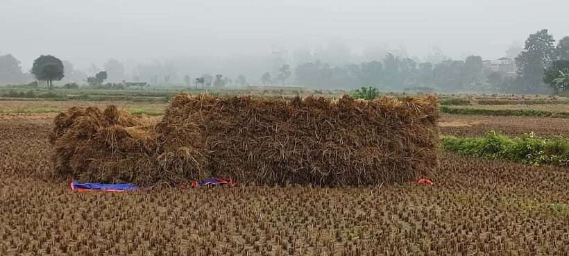 Chormara: Homestay, Meals, & Cultural Immersion Program - Key Points