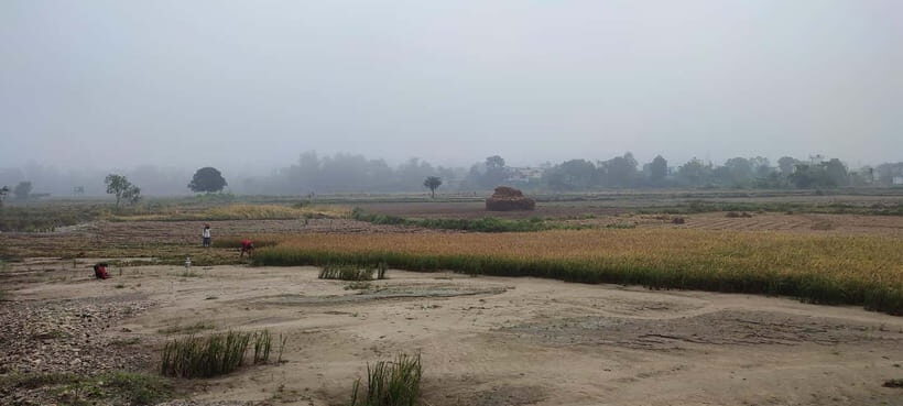 Chormara: Homestay, Meals, & Cultural Immersion Program - An In-Depth Look at What to Expect in Chormara