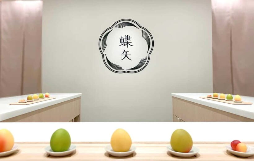 CHOYA UME STUDIO  Hands-On Umeshu & Syrup Workshop - Introduction