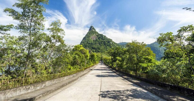 Christ the Redeemer and Escadaria Selarón Half-Day Tour - Who Will Love This Tour?