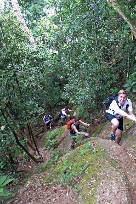 Christ the Redeemer through Lage Park 6-Hour Hiking Tour - Key Points