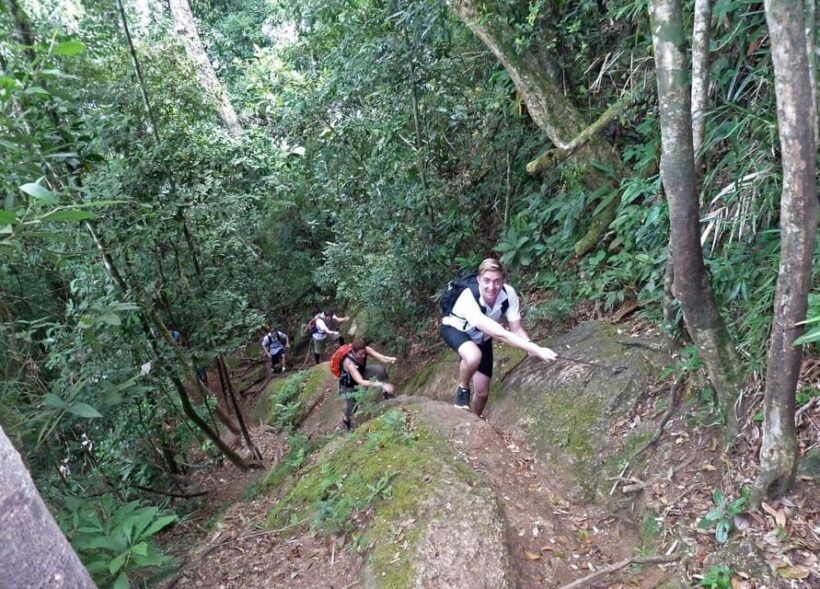 Christ the Redeemer through Lage Park 6-Hour Hiking Tour - An In-Depth Look at the Tour Experience