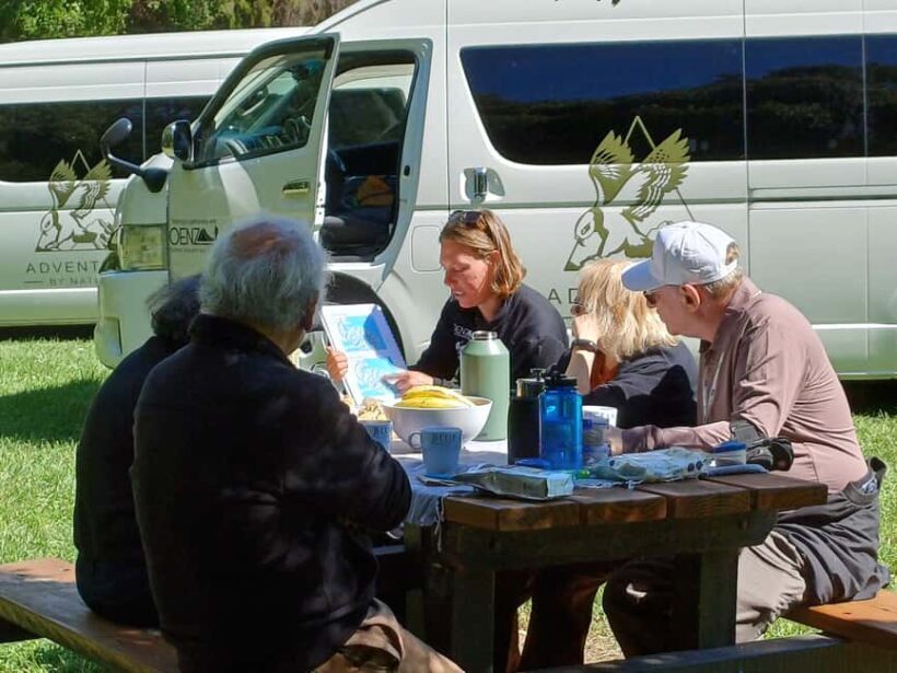 Christchurch: Akaroa and Banks Peninsula Day Trip - Key Points