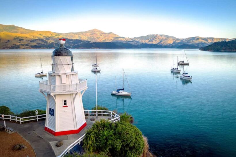 Christchurch: Akaroa and Banks Peninsula Day Trip - Final Thoughts