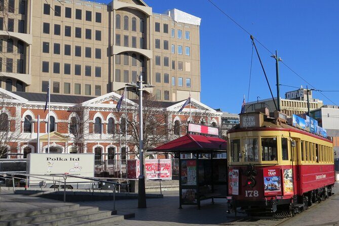 Christchurch City and Beaches Private Tesla Tour - Final Thoughts
