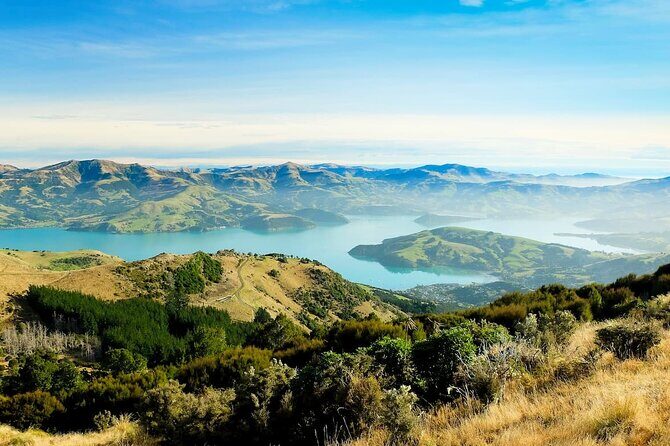 Christchurch City Highlights Half Day Tour - FAQs