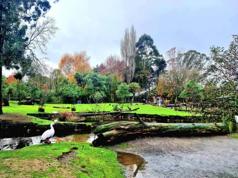 Christchurch City Highlights Half Day Tour - Authentic Experiences and Unique Insights